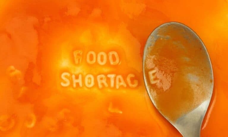 How to Prepare for and Survive a Food Shortage – EZ-Prepping